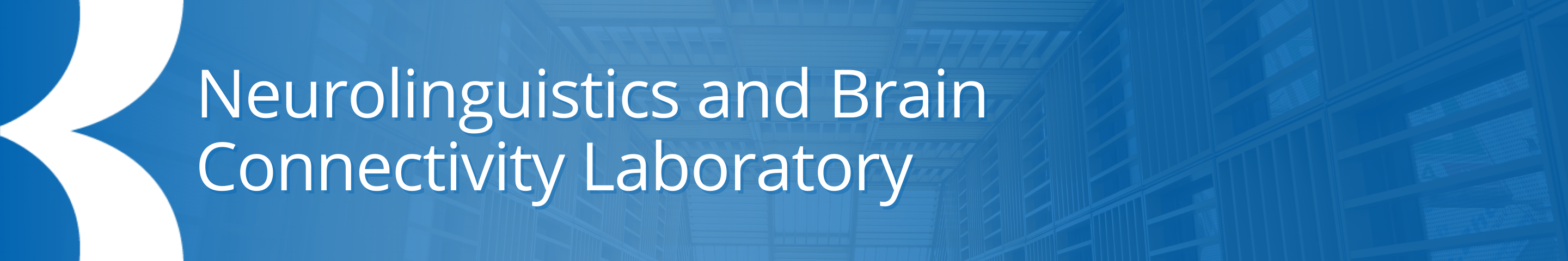 Neurolinguistics and Brain Connectivity Laboratory | Kessler Foundation